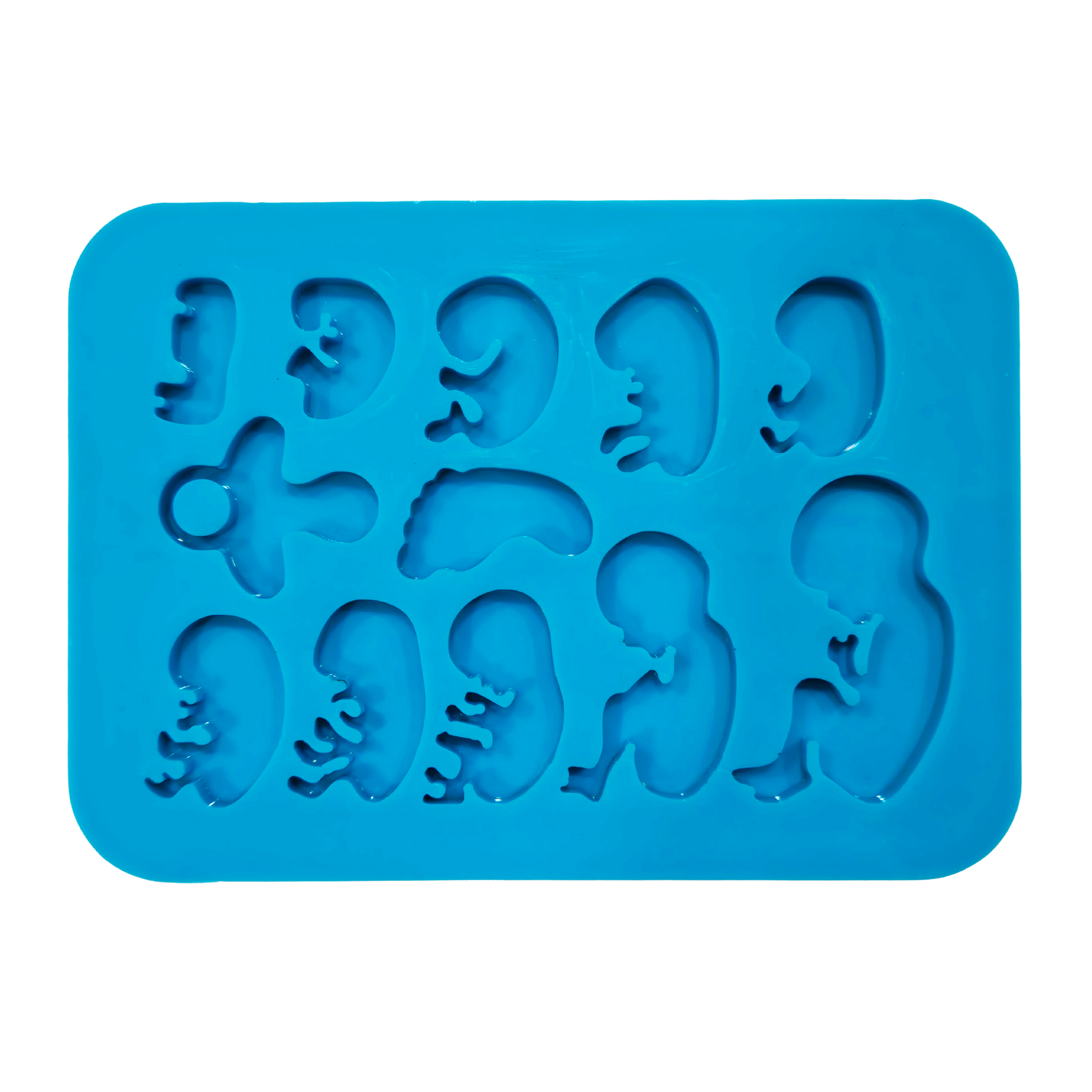 The Mould Story - Fetus Palette Mould