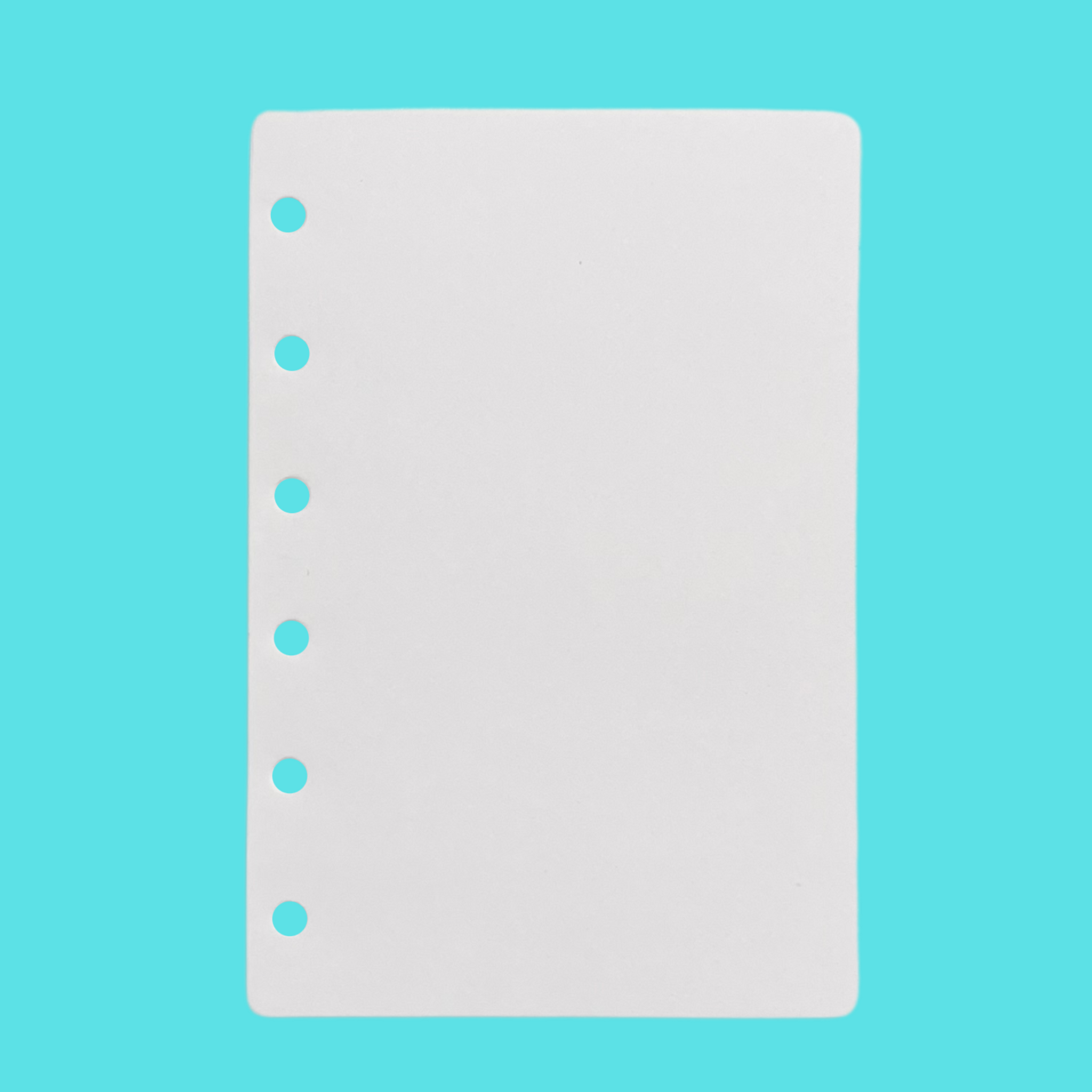 The Mould Story - 2 Pack A7 Blank Diary Pages - 100 Sheets.